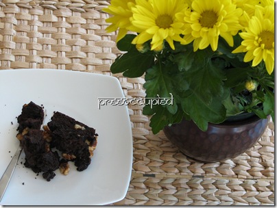 PreeOccupied: Baking Equinox With Fudgy Walnut Chocolate Cake